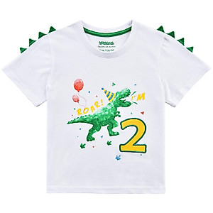 WAWSAM 2nd Birthday Boy Shirt Dinosaur Birthday T-Shirt 2 Year Old Toddler Dinosaur Outfit Cotton White Dino Party Shirt