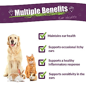 Amber NaturalZ Otaxium Drops Herbal Supplement for Dogs, Cats, Birds, Guinea Pigs, and Rabbits | Pet Herbal Supplement for Ear Health | 1 Fluid Ounce Glass Bottle | Manufactured in The USA