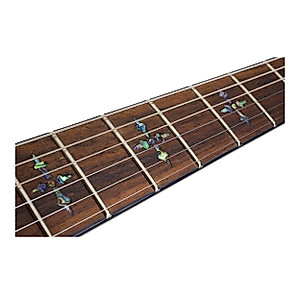 Schecter Hellraiser C-1 - Black Cherry