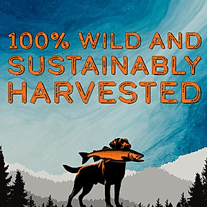 DogBone Wild Alaskan Fish Oil for Dogs 32 oz | Salmon Oil for Dogs | Dog Fish Oil | Omega 3 for Dogs | Dog Joint Supplement | Dogs Vitamins and Supplements | Salmon Oil for Dogs Skin and Coat
