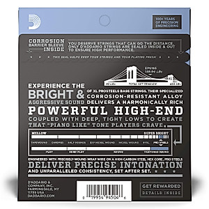 D'Addario XL ProSteels Bass Guitar Strings - EPS165 - Long Scale - Regular Light Top/Medium Bottom, 45-105