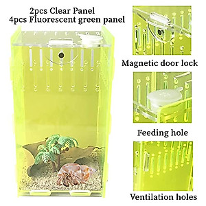 Reptile Terrarium,Vertical Acrylic Tarantula Enclosure Breeding Tank,Aquarium Breeding Tank 5" x 4" x 8"for Invertebrates and Small Tree Dwelling Reptiles,Mantis, Cricket,Snails,Frog-Fluorescent Green
