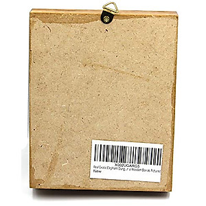 Real Exotic Elephant Dung Beetle Specimen (Heliocopris Dominus) FEMALE - Preserved Taxidermy Insect Bug Collection Framed in a Wooden Box as Pictured