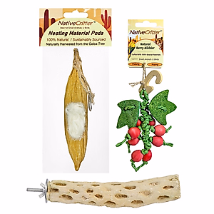 Exotic Nutrition Chew Toy Bundle - Natural Interactive Chew Toys - Chinchillas, Guinea Pigs, Hamsters, Rabbits, Degus, Prairie Dogs, Small Pets