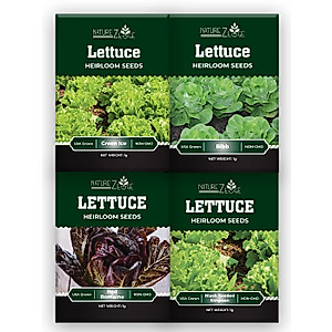 Lettuce Seeds for Planting, Red Romaine Lettuce, Bibb Butter Lettuce, Black Seeded Simpson, Green Ice Iceberg Lettuce, Non-GMO…