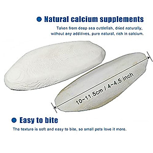 Mivofun 2PCS Natural Cuttlebone for Tortoise Turtles Snails Birds Cockatiels Parakeets Budgies Reptiles Small Animals(4"-4.5",Small)