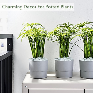 200pc Luminous Stone Glow Stones Pebbles Glow in The Dark Pebbles for Walkway Backyard Pathway Lawn Potted Plant Flower Decor,White