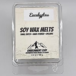 Environment Loop Wax Melt Cubes, 1 Pack of 2.3 OZ Soy Wax Melts for Warmers, Maximum Scent (Eucalyptus Aromatherapy)