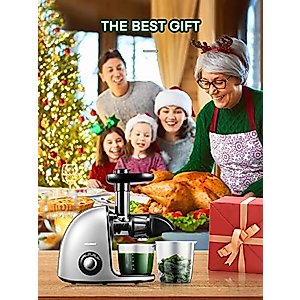 Slow Juicer Machines, HOUSNAT Cold Press Juicer Extractor for Fruits & Vegetables Easy to Clean, 2-Speed Mode with Quiet Motor & Reverse Function, Slow Masticating Juicer with Recipe (Silver Gray)