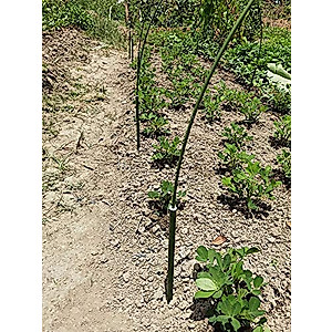 Garden Hoops for Raised Beds Hoop House Greenhouse Hoops for Garden Beds Green House Hoops for Garden Netting Wire Hoops Garden Tunnel Garden Hoops for Row Cover Hoops Fiberglass 6.56ft+1.31ft (6Pack)