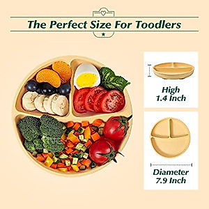 3 Pack Suction Plates for Babies & Toddlers Tameler Food Grade Silicone Divided Plates Set for Kids-Baby Led Weaning Supplies for Infants-Safety Tested-BPA Free-Microwave & Dishwasher safe