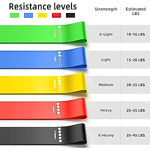 Resistance Training Kit, 2 Adjustable Bodyweight Resistance Bands with Handles + 1 Door Anchor + 5 Resistance Loop Bands for Working Out Hold up to 600 lbs Home Gym Equipment