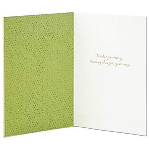 Hallmark Signature Get Well Card (Plant)