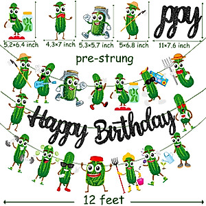 Funny Pickle Birthday Party Decorations Black Happy Birthday Banner Green Pickle Cucumber Theme Garland Cute Cucumber Birthday Banner Decorations for Kind of a Big Dill Party Baby Shower Supplies