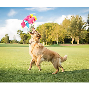 Dog Toys, Puppy Toys with Crinkle Paper Cute Squeaky Dog Toys Dog Chew Toys for Small Medium Large Dogs