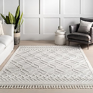 nuLOOM 4x6 Ansley Moroccan Tassel Area Rug, Light Grey, High-Low Textured Bohemian Design, Plush High Pile, Stain Resistant, For Bedroom, Living Room, Hallway, Entryway