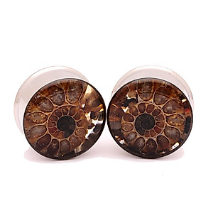 Mystic Metals Body Jewelry Embedded Real Ammonite Fossil Plugs - Sold As a Pair (1-1/4" (32mm))