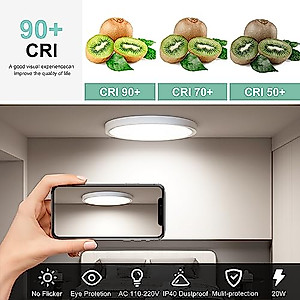 luckystyle 12inch/20W Remote Dimmable LED Flush Mount Ceiling Lights with Smart APP Custom Color Temperatures, Daylight White Ceiling Light Fixture Round Ceiling Lamp for Kitchen Bedroom Child's Room