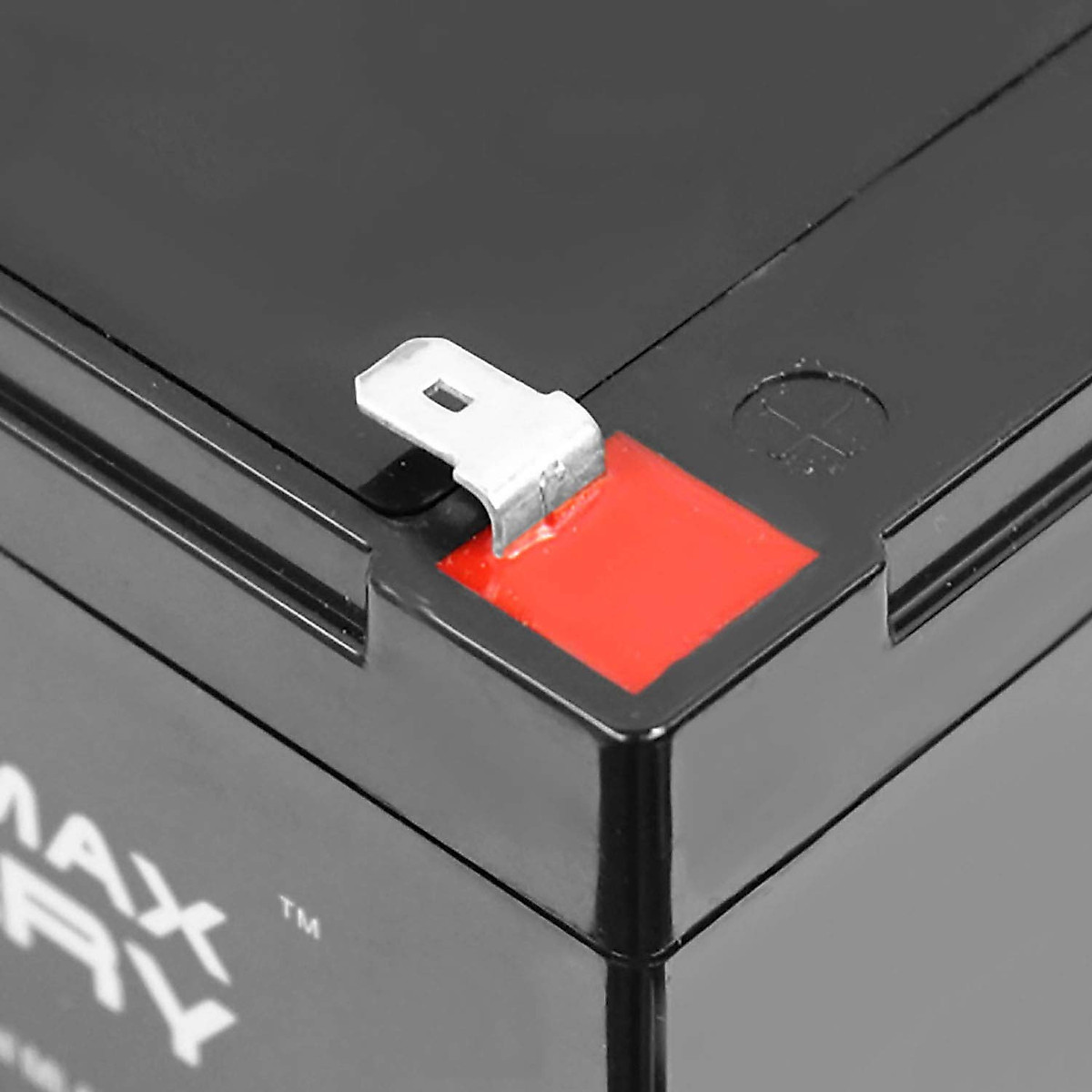 Mighty Max Battery ML12-12 - 12 VOLT 12 AH SLA BATTERY F2 TERMINAL - PACK OF 2