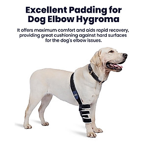 LufeLux Dog Elbow Protector, Padded Elbow Brace for Canine, Shoulder Support Protection for Callus, Hygroma, Dysplasia, Arthritis, Osteoarthritis, Pressure Sores, Avoid Cone of Shame