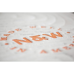 Nest & Wild Mattress Plush 12 Inch | Made in The USA | 100% Fiberglass-Free Cool Touch Cover | Ventilated Memory Foam | Bed in a Box | CertiPUR-US & OEKO-TEX100 Certified Foams (Twin)