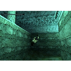 Tomb Raider Anniversary for wii (Renewed)