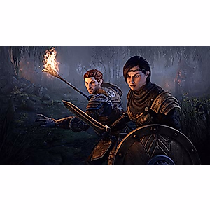 The Elder Scrolls Online Collection: Blackwood (PS4)