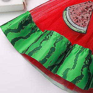 Infant Baby Girl First Birthday Dress Cake Smash Outfits Toddler Watermelon Tulle Tutu Halloween Christmas Cosplay Outfits Easter Baptism Princess Dress for Photo Shoot Red-Watermelon 12-18 Months