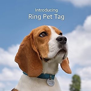 Ring Pet Tag | Easy-to-use tag with QR code | Real-time scan alerts | Shareable Pet Profile | No subscription or fees