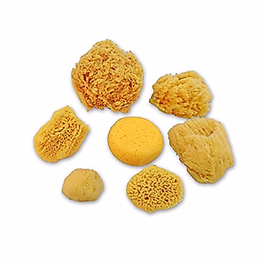 Natural Sea & Synthetic Sponges - Assorted Sizes 7pc Value Pack for Crafts & Artists: Great for Painting, Hobbies, Art, Effects, Ceramics, Clay, Pottery by Lullingworth®