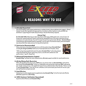 Exceed 6-Way (50lb) High Level Performance Horse Support