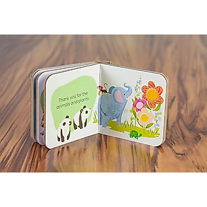 My Little Library: Bible Stories (12 Board Books)