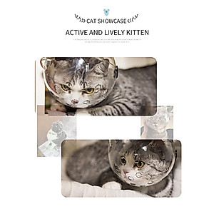 Cat Muzzle Breathable Cat Hood Adjustable Kitten Astronaut Transparent Helmet Prevent from Cats Biting Chewing Grooming Cat Bubbles Mask for Aggressive Cat (S)