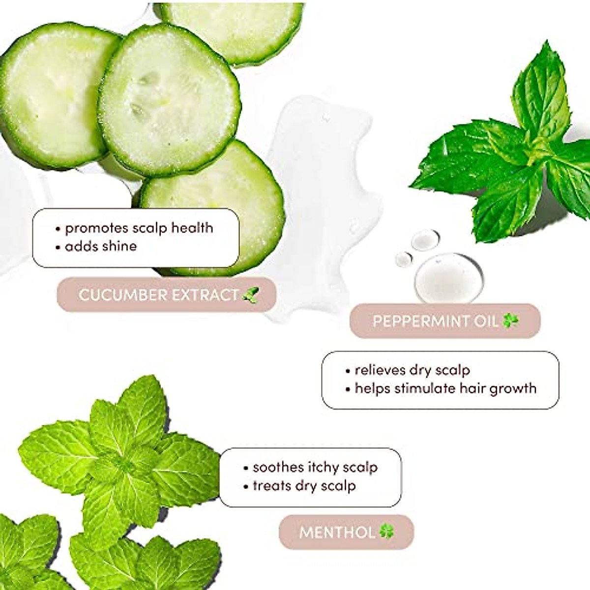 Mizani Scalp Care Dandruff Shampoo | Pyrithione Zinc | Cleanses Hair & Scalp | For Curly Hair | 16.9 Fl Oz