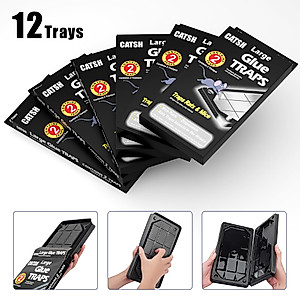 CATSH Rat Mouse Glue Traps Indoor for Home 12 Count - Mice Control Trap Large Size Waterproof Pre-Scented Super Hold Sticky Tray Non-Toxic