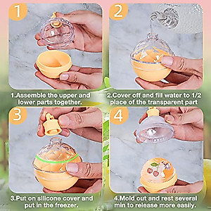[4+4] 4 Pcs Round Ice Cube Mold, Decyam Ice Ball Maker, Silicone Ice Cube Tray, 2.5 Inch Large Sphere Ice Cube Mold with Lid and Funnels, Cocktail Whiskey Ice Mold and 4 Pack Teddy Bear Ice Mold
