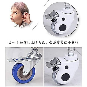 Utility Cart Lab Serving Cart, Medical Cart 2-Layer，Stainless Steel Lab Medical Car with Drawers and Dirt Bucket Mobile Trolley Serving Equipment with Drawers and Silent Omnidirectional Wheel (Size :