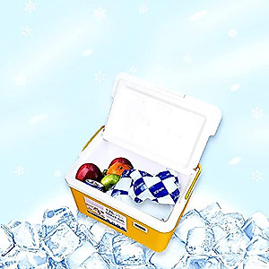 Small Dry Ice Pack Sheets for Shipping Frozen Food - 25 Freezer Ice Sheets for Coolers, Lunch Bags, Food, Camping Outdoor - Re-freezable Absorbent Water Refrigerant Pack - 4.7" x 3.3''