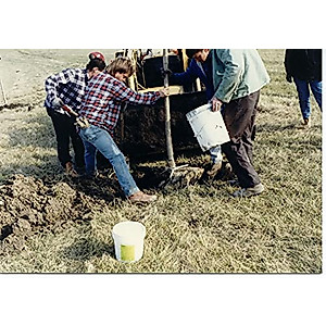 Soil Moist 100064312 JCD-030SM 3-Pound Granules, White