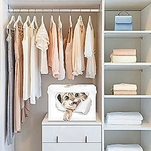 RunningBear Cartoon Cute Cat Large Storage Bins with Lid Collapsible Storage Bin Shelves Basket Clothes Toys Bin for Home Toys Clothes