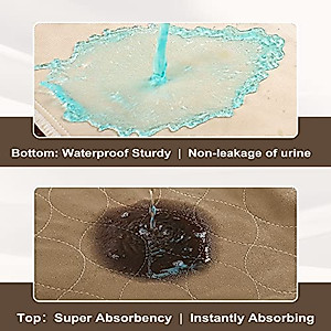 Paw Legend Washable Reusable Dog Pee Pads Super Absorbent (2 Pack) - Washable Reusable Puppy Training Pads | Quality Travel Pee Pads for Dogs | Absorbent and Odor Controlling