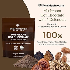 Real Mushrooms Organic Hot Chocolate Mix with 5 Defenders Turkey Tail, Chaga, Maitake, Shiitake, Reishi Mushroom - Cacao Powder Vegan Supplement, Gluten-Free, 15 Servings