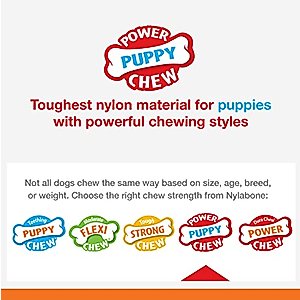 Nylabone Puppy Power Rings Chew Toy - Tough and Durable Puppy Chew Toy for Teething - Puppy Supplies - Bacon Flavor, Small (1 Count)