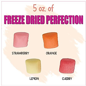 Freeze Dried Fruit Bursts Candy - Mini Original Hard Candy Mix 5oz Treat Snack Gift Bag Cherry, Strawberry, Lemon, Orange Candies Freeze-Dried Candies