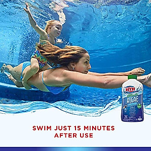 HTH 67033 Ultimate Algae Guard Swimming Pool Algaecide Cleanser, 1 qt