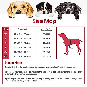 Kuoser Dog Life Jacket, Adjustable Dog Life Vest with Reflective Piping Ripstop Dog Lifesaver Pet Life Preserver with High Flotation for Small Medium and Large Dogs at The Pool, Beach,Boating