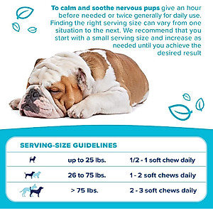 Okoa Pet "Hush Puppy Calming Dog Treats - Vet Formulated, Natural Peanut Butter Flavor Soft Chews - Anxiety Relief for Dogs with Hemp - Ideal for Separation, Travel, Fireworks - Made in USA (2 Pack)
