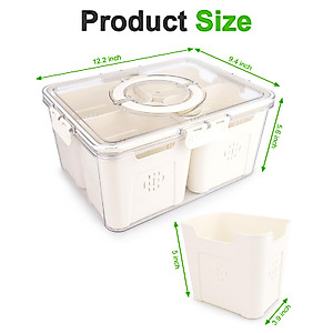 Airtight Fruit Storage Containers for Fridge: 4 Compartment Large Food Storage Container with Lids & Handle & Removable Drain Tray - Berry Fruit Vegetable Fresh Produce Saver for Travel Picnic