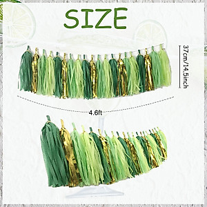 A Tini Bit Older Birthday Decor Banner, a Tiny Bit Older Martini Themed Party Decorations Party Supplies Banners and Tassel Garland