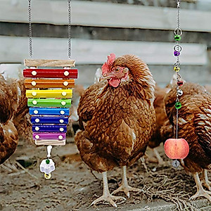 EBaokuup 3PCS Chicken Toys for Coop Accessories, Chicken Xylophone Toy, Suspensible Wooden Chicken Toys for Hens Chicken Stand Toy, Chicken Vegetable Hanging Feeder Chicken Veggies Skewer Fruit Holder